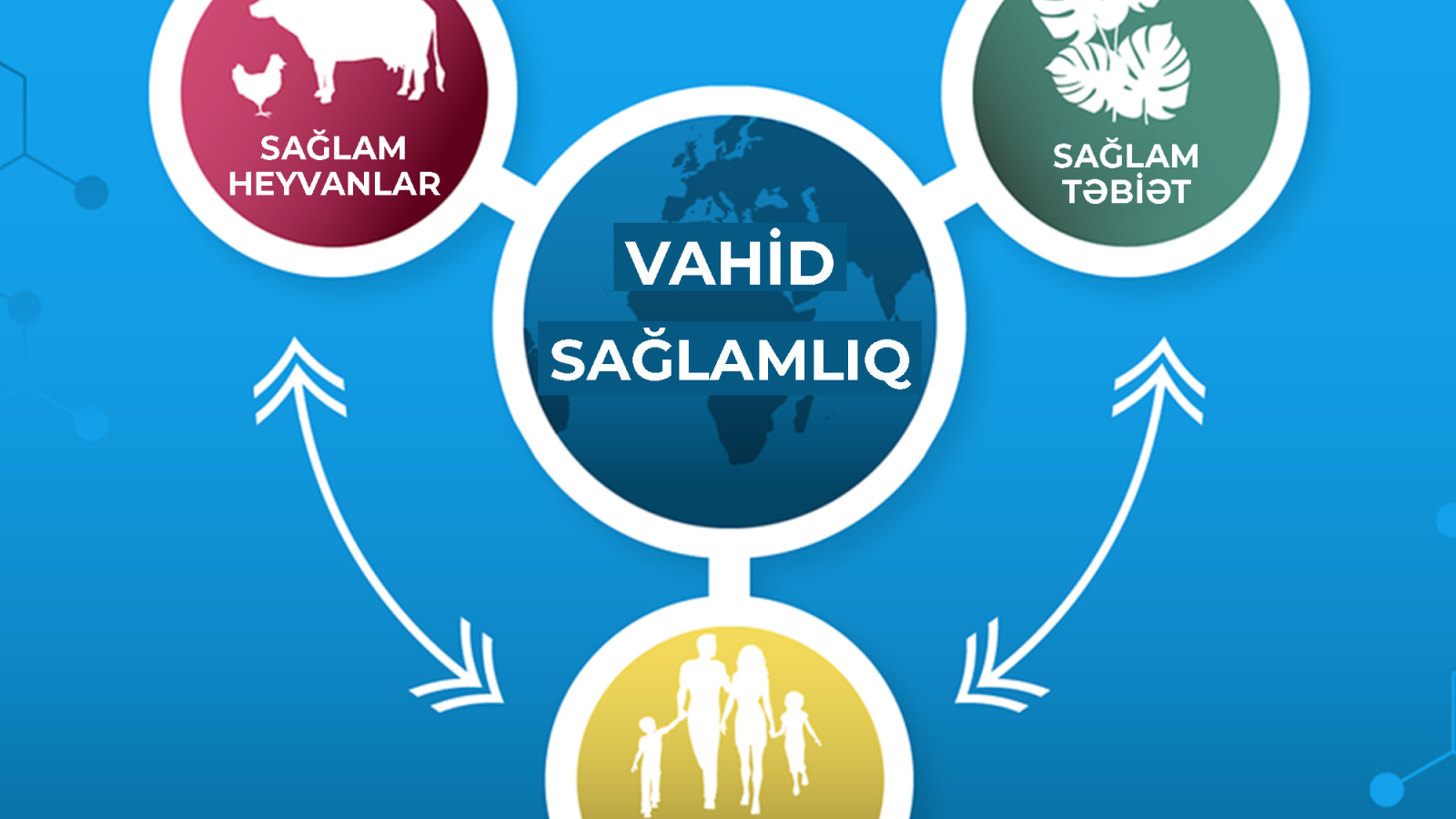 AQTA “Vahid Sağlamlıq” konsepsiyası ilə bağlı zəruri tədbirləri davam ...